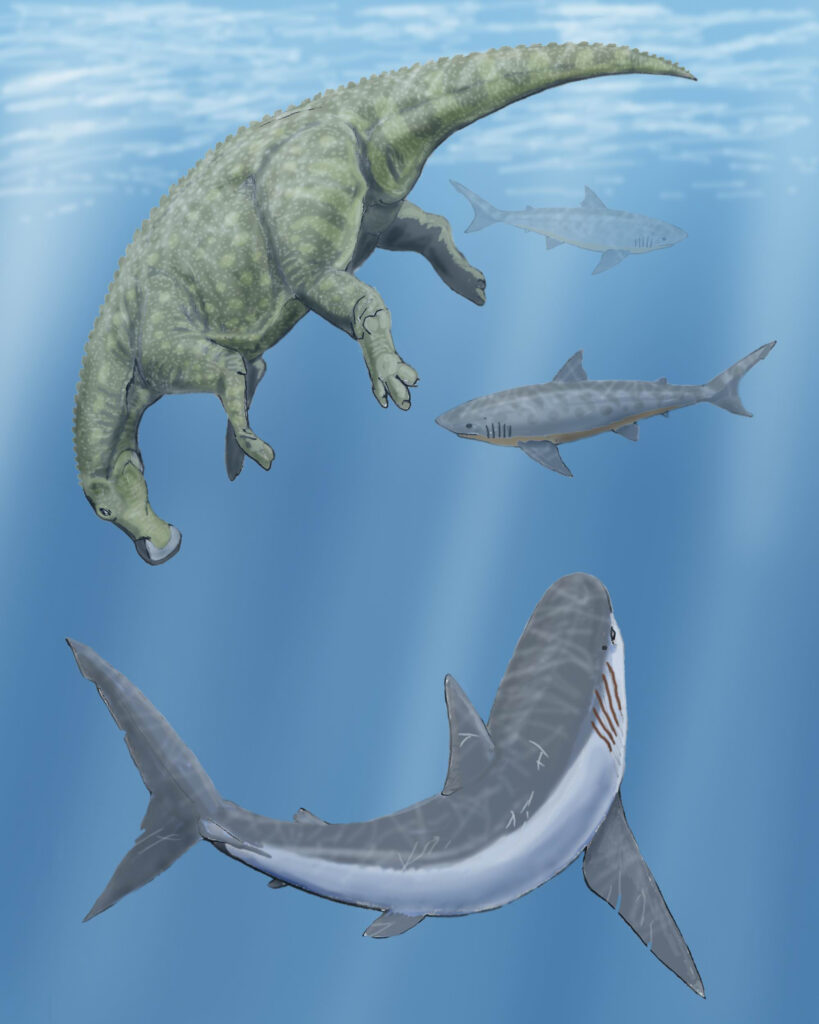 Sharks or Dinosaurs – Which Were Here First? – sharksinfo.com