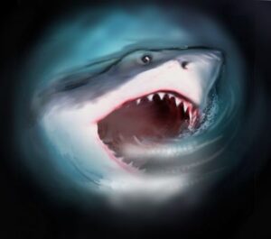 Why Do Sharks Like Blood? – sharksinfo.com