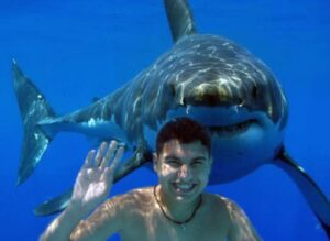 How to Play Sharks and Minnows – sharksinfo.com