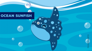 The Complete Mediterranean Fish Species Identification Guide ...