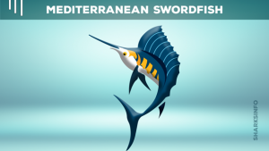 The Complete Mediterranean Fish Species Identification Guide ...