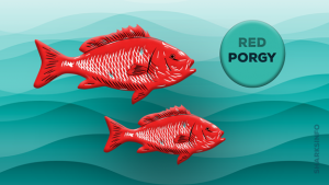 The Complete Mediterranean Fish Species Identification Guide ...