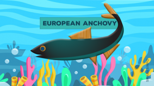 The Complete Mediterranean Fish Species Identification Guide ...