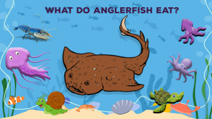 What Do Anglerfish Eat? – sharksinfo.com