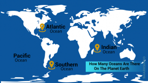 How Many Oceans Are There On The Planet Earth? – sharksinfo.com