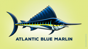 Atlantic Blue Marlin Facts: Habitat, Diet, Conservation, & More ...