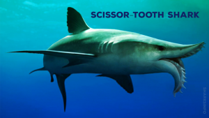 18 Strange and Weird-Looking Sharks – sharksinfo.com