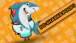 Do Sharks Poop_ A Deep Look Inside Shark Poop – sharksinfo.com