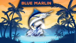 A Guide To The Different Types Of Marlin – sharksinfo.com