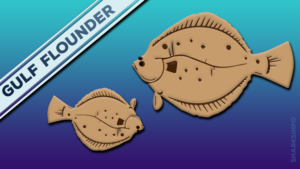A Guide to the Different Types of Flounder – sharksinfo.com