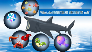 Basking Shark Facts: Habitat, Diet, Conservation & More – sharksinfo.com