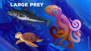 What Do Anglerfish Eat? – sharksinfo.com