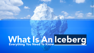 What Is An Iceberg? Everything You Need To Know – sharksinfo.com