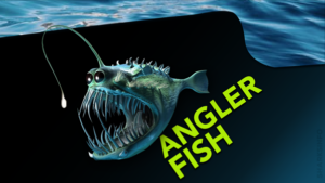 10 Ugliest Fish in the World – sharksinfo.com