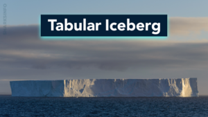 What Is An Iceberg? Everything You Need To Know – sharksinfo.com