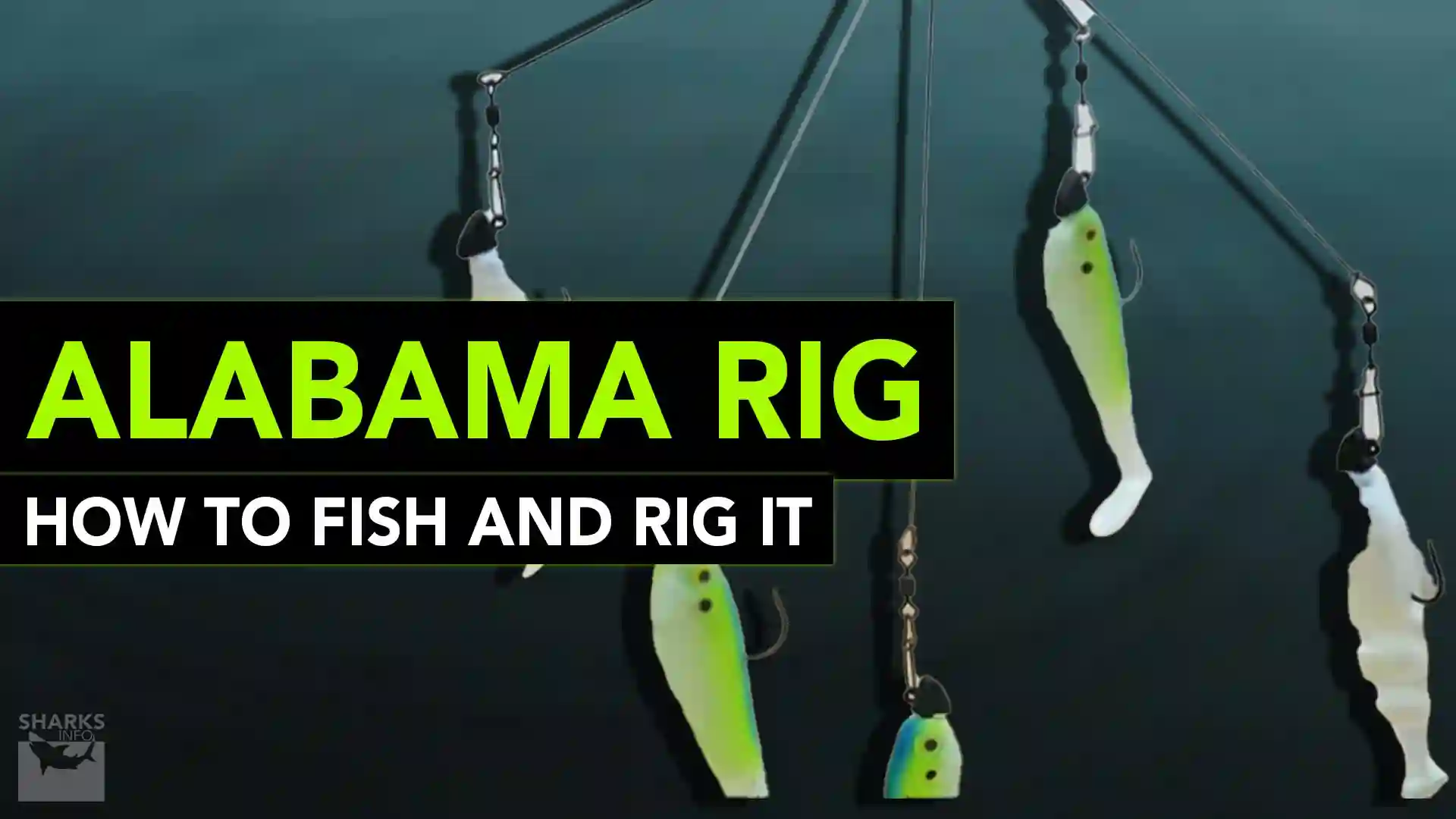 Alabama Rig _ How To Fish And Rig It - sharksinfo.com