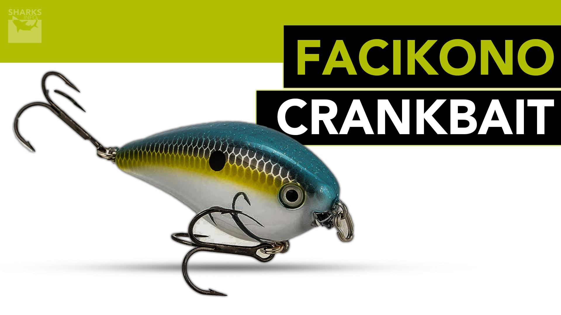 3 Awesome Crankbaits For Beginner Anglers – sharksinfo.com