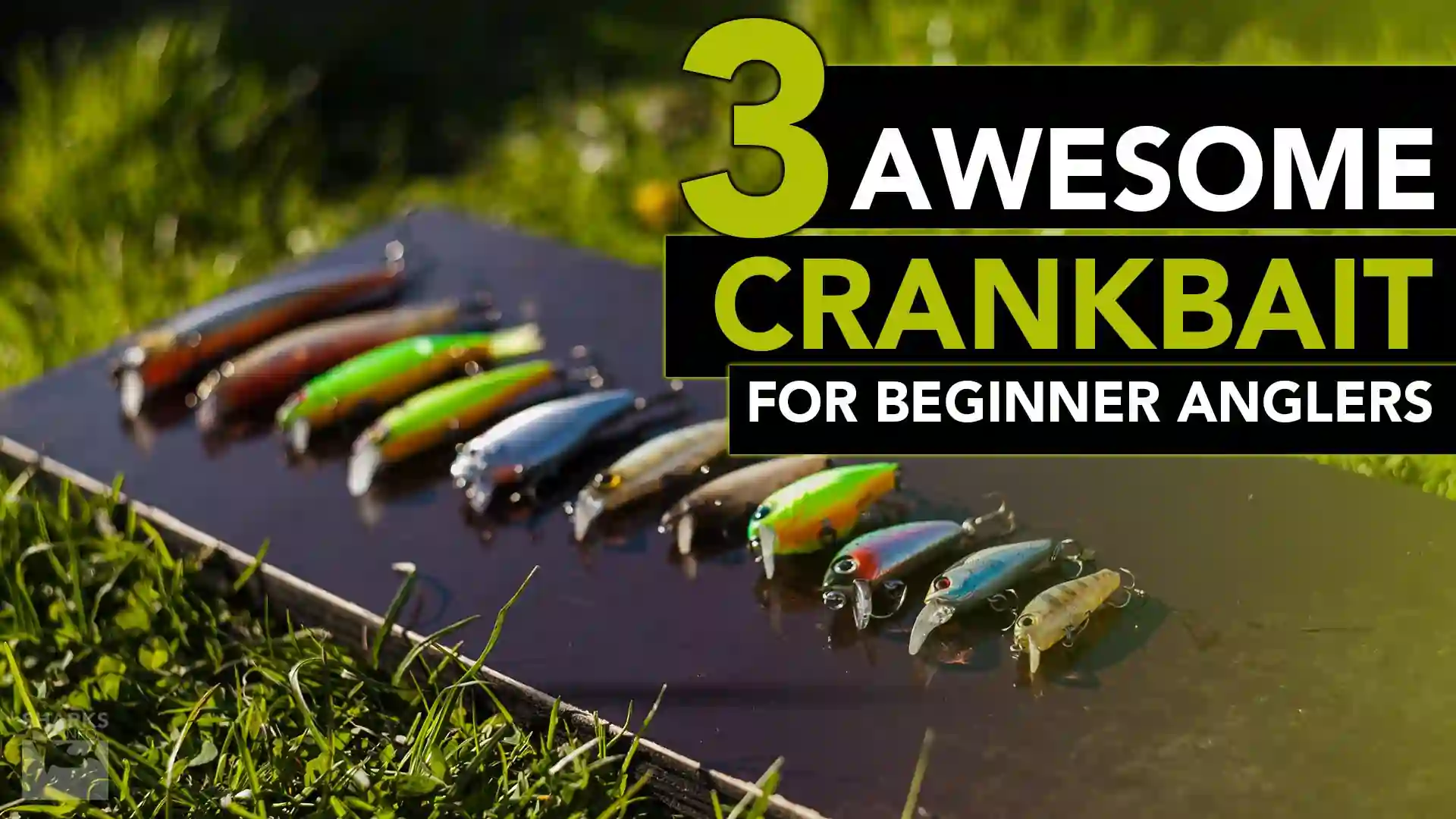 3 Awesome Crankbaits For Beginner Anglers - sharksinfo.com