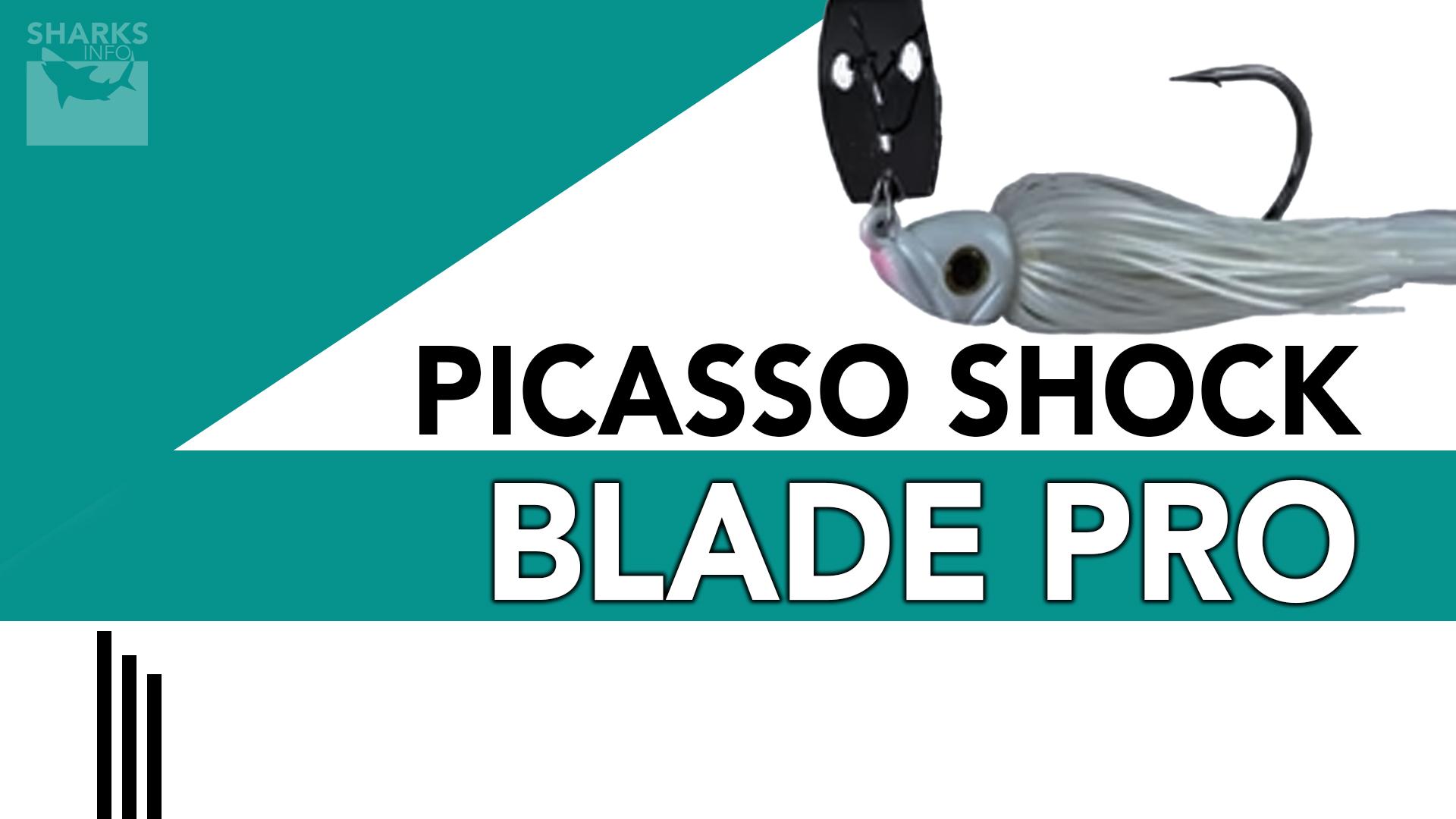 What Are The Best Chatterbaits? – sharksinfo.com