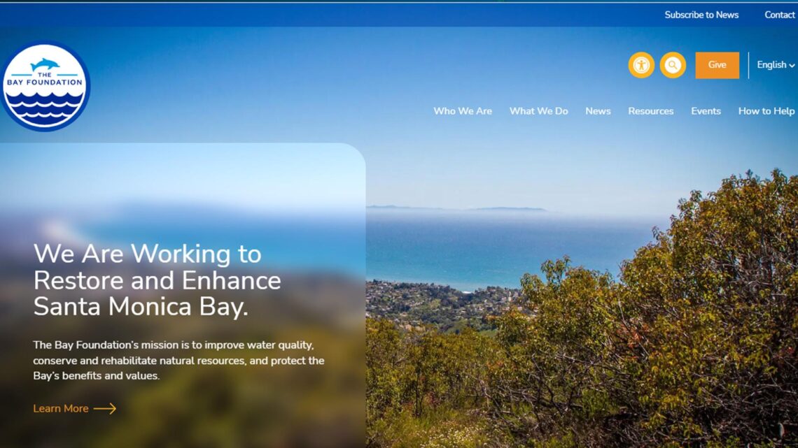 The 15 Best Ocean Charities to Donate To - sharksinfo.com