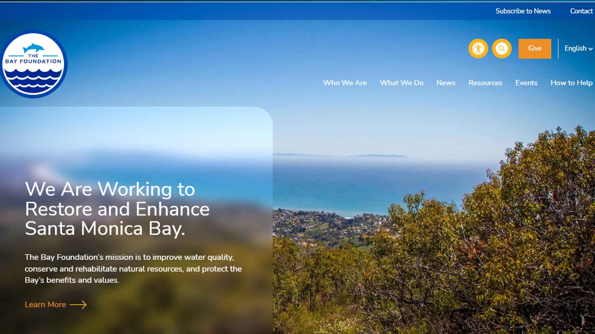 The 15 Best Ocean Charities to Donate To – sharksinfo.com