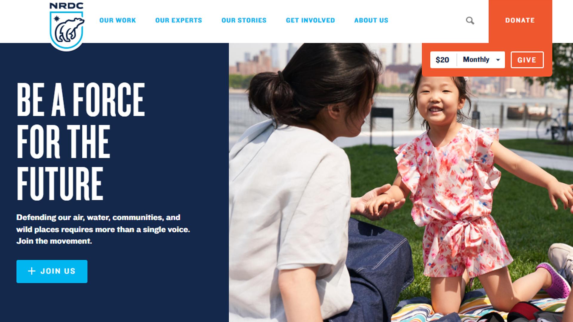 The 15 Best Ocean Charities to Donate To – sharksinfo.com