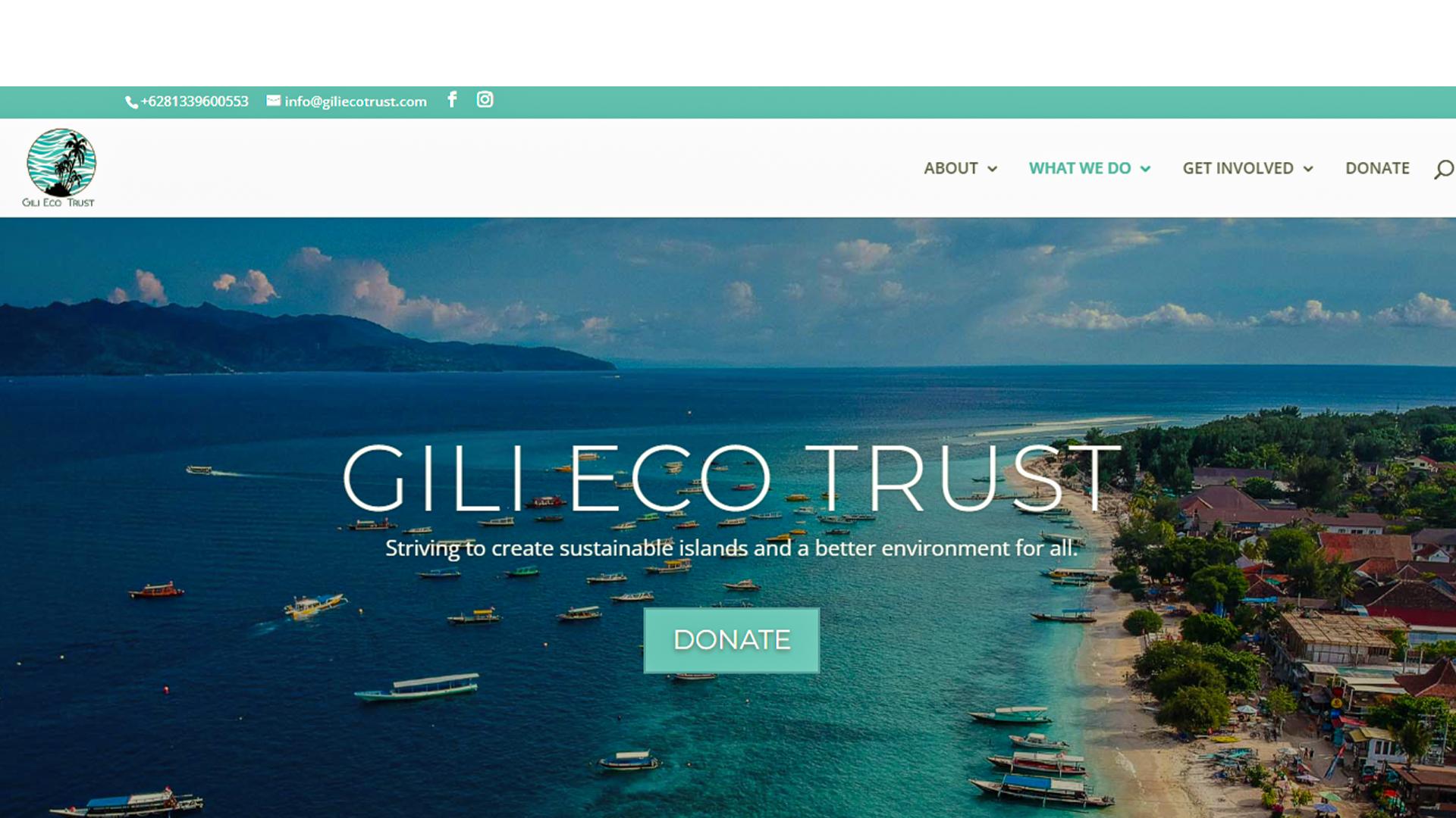 The 15 Best Ocean Charities to Donate To – sharksinfo.com