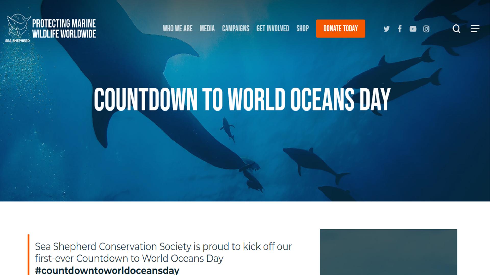 The 15 Best Ocean Charities to Donate To – sharksinfo.com