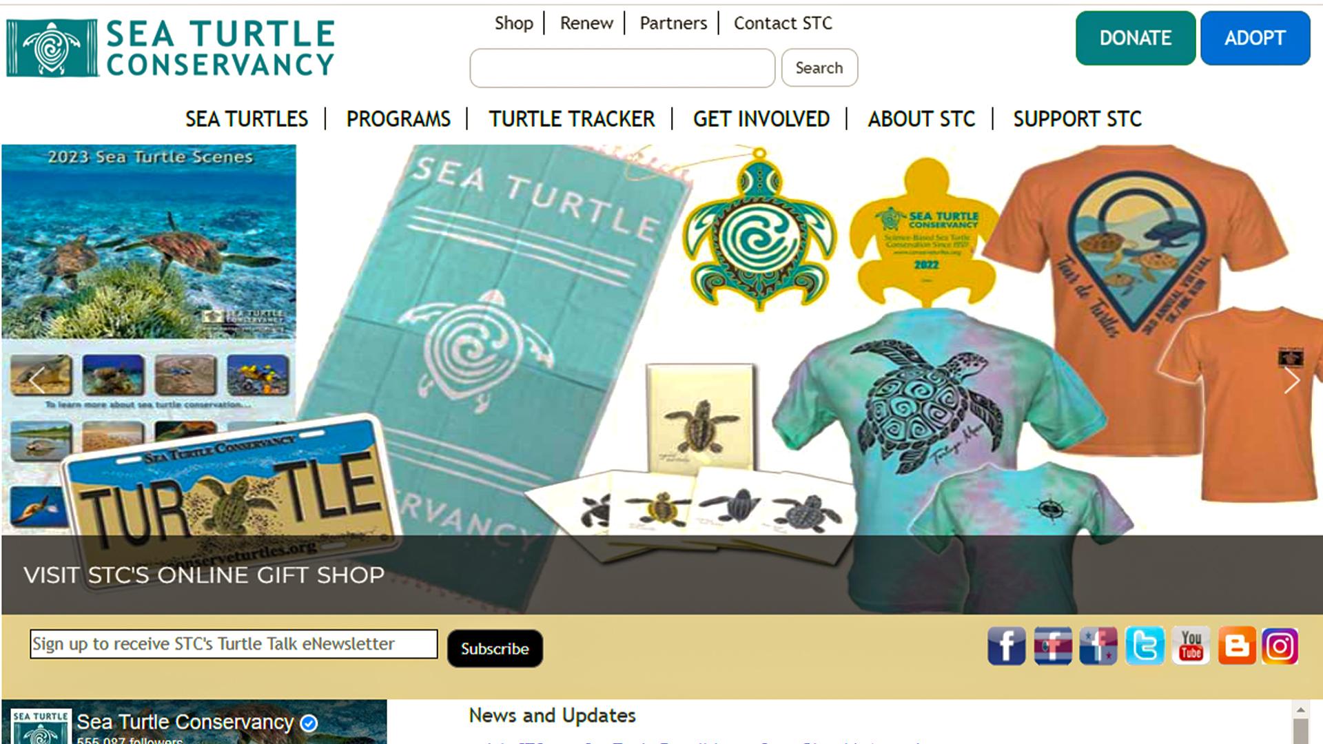 The 15 Best Ocean Charities to Donate To – sharksinfo.com