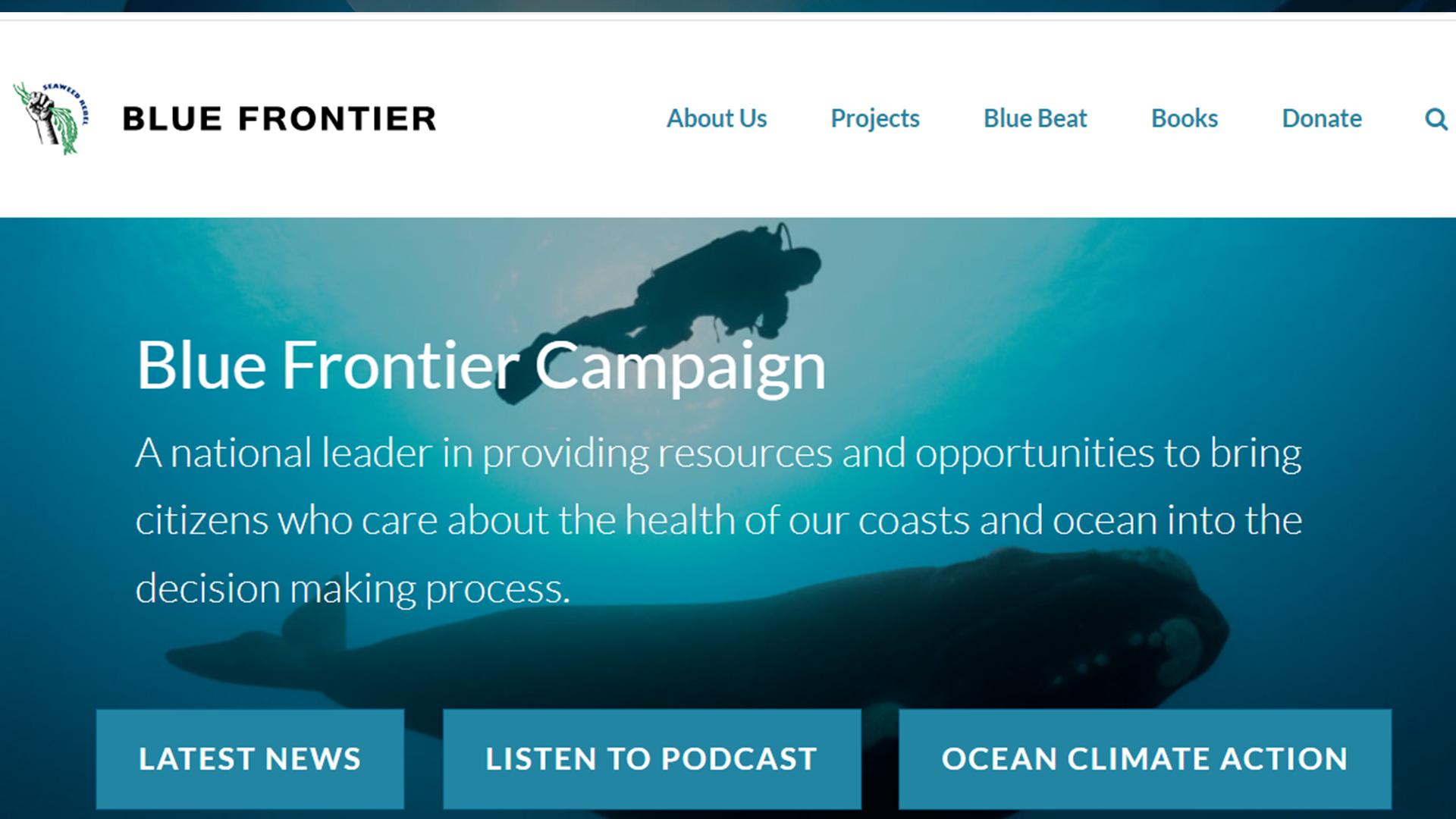 The 15 Best Ocean Charities to Donate To – sharksinfo.com