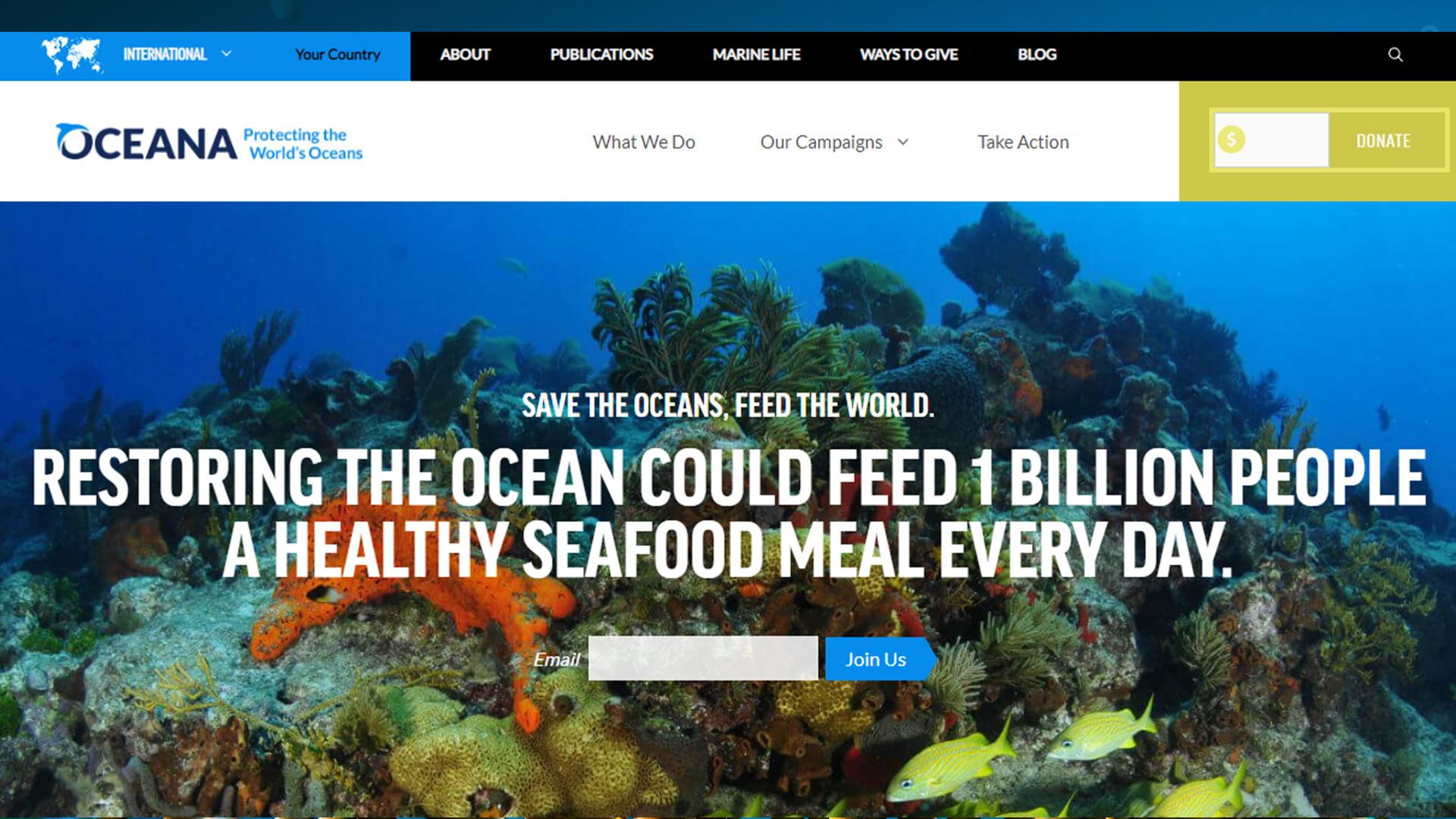 The 15 Best Ocean Charities to Donate To – sharksinfo.com