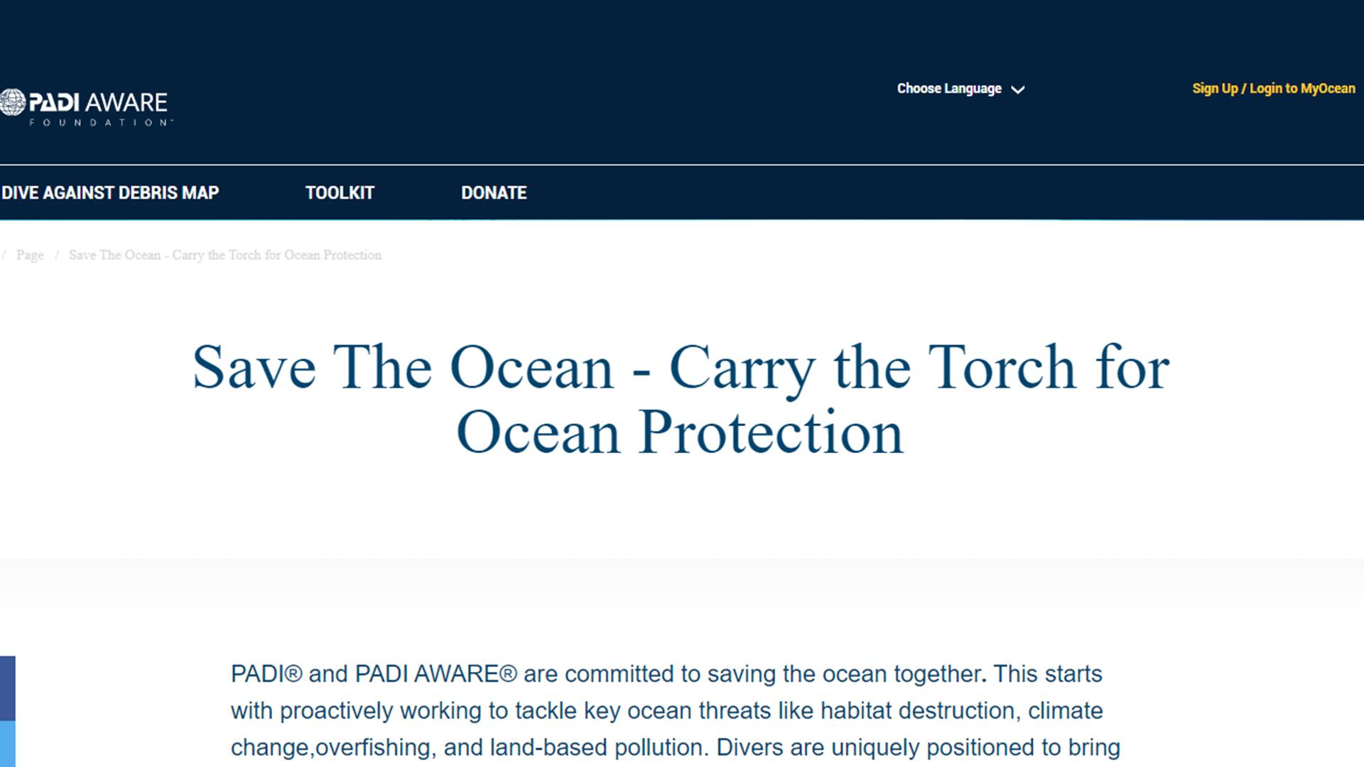 The 15 Best Ocean Charities to Donate To – sharksinfo.com