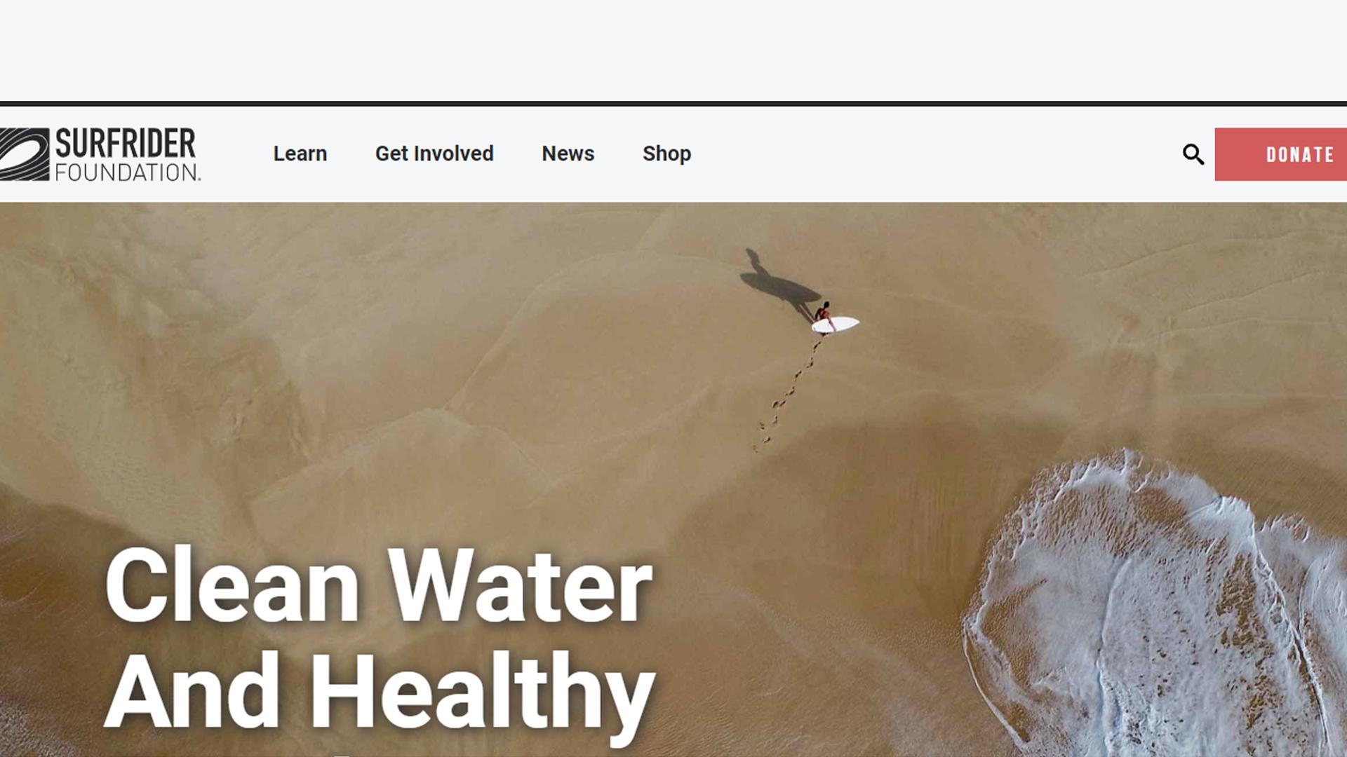 The 15 Best Ocean Charities to Donate To – sharksinfo.com