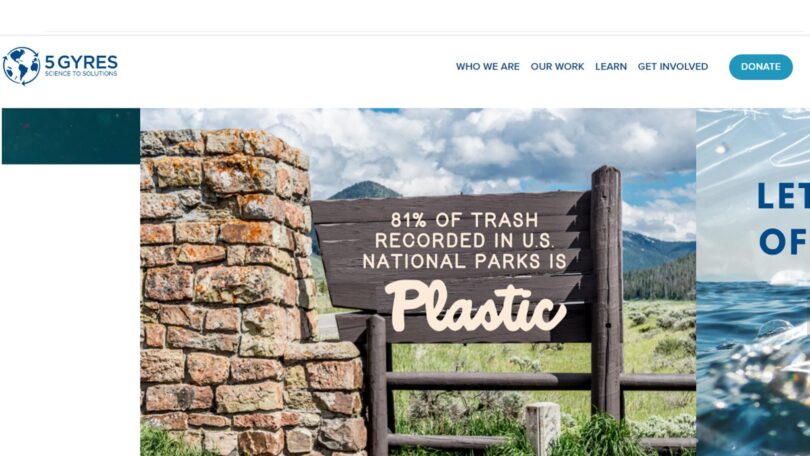 The 15 Best Ocean Charities to Donate To – sharksinfo.com