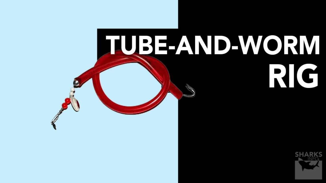 Best Striped Bass Rigs (4 Proven Striper Rigs) – sharksinfo.com