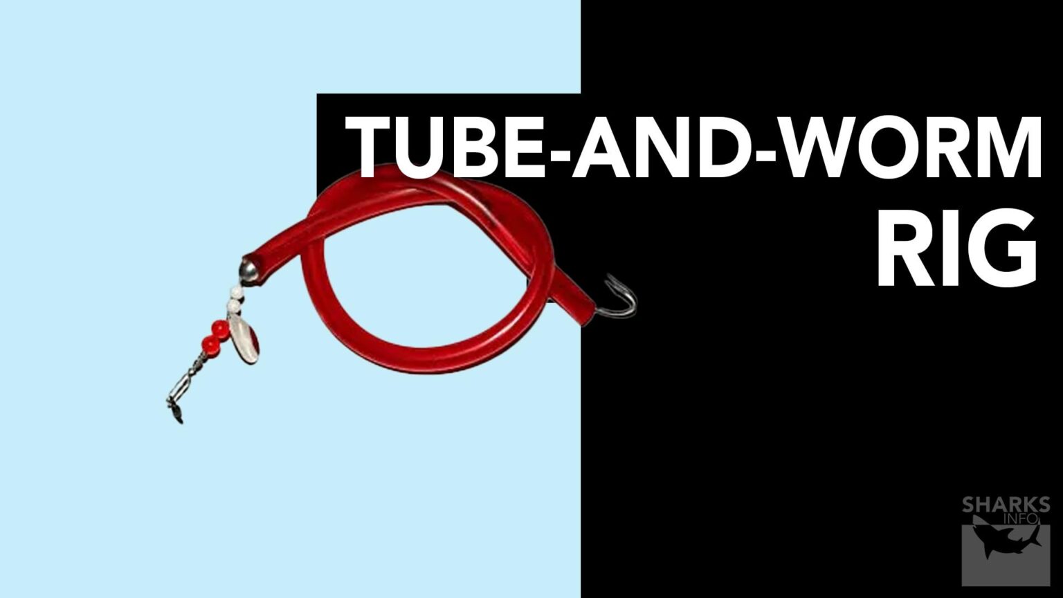 Best Striped Bass Rigs (4 Proven Striper Rigs) – sharksinfo.com