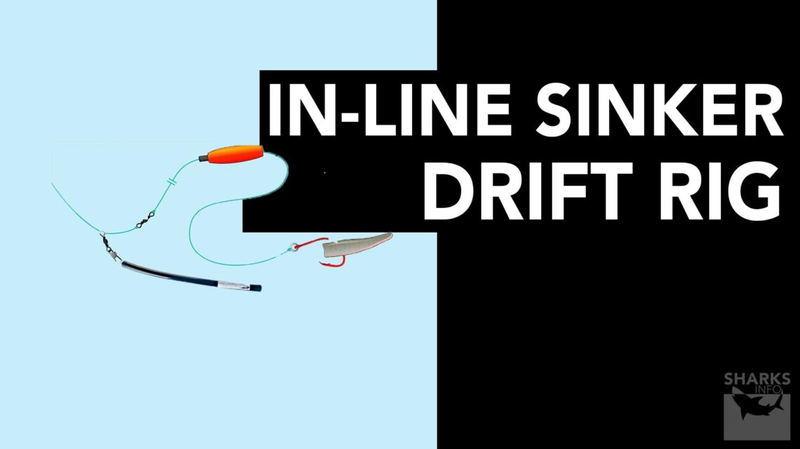 Best Striped Bass Rigs (4 Proven Striper Rigs) – sharksinfo.com