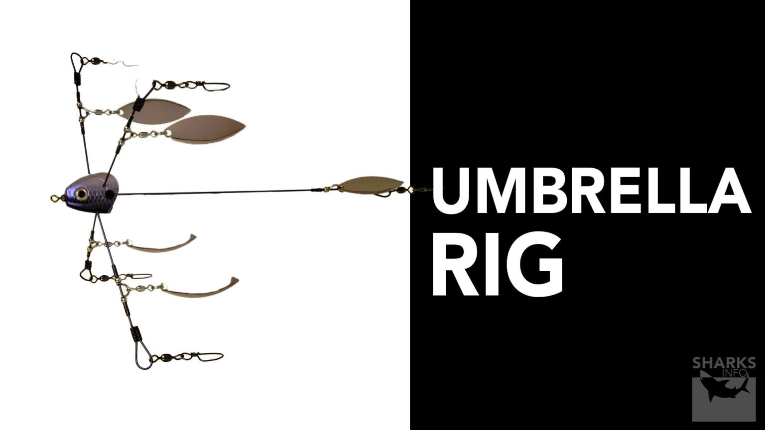 Best Striped Bass Rigs (4 Proven Striper Rigs) – sharksinfo.com