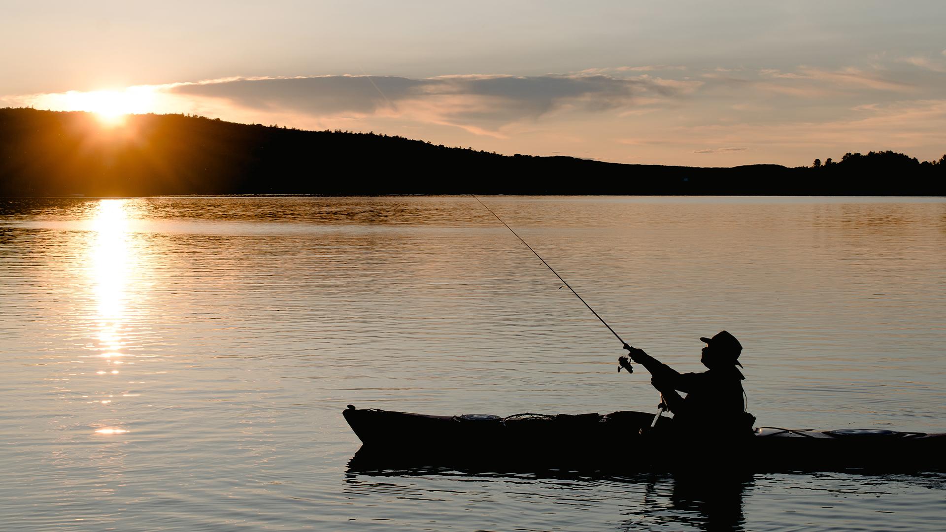 How To Master Pond Fishing – sharksinfo.com