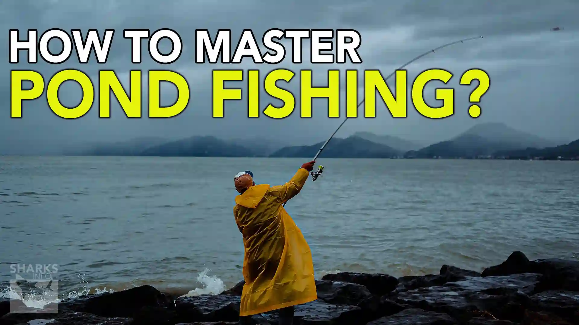 How To Master Pond Fishing - sharksinfo.com