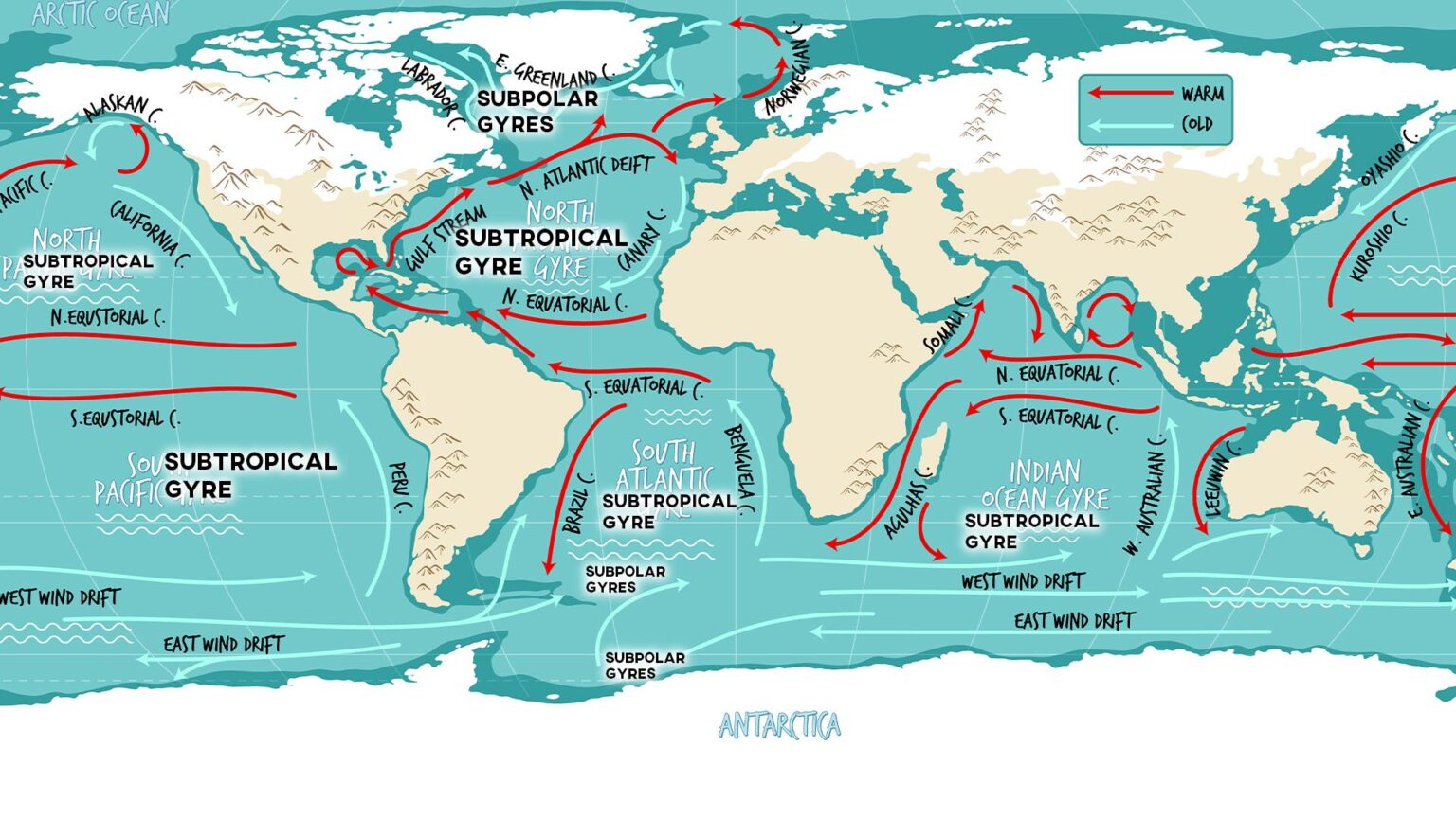 Everything You Need To Know About Ocean Gyres – sharksinfo.com