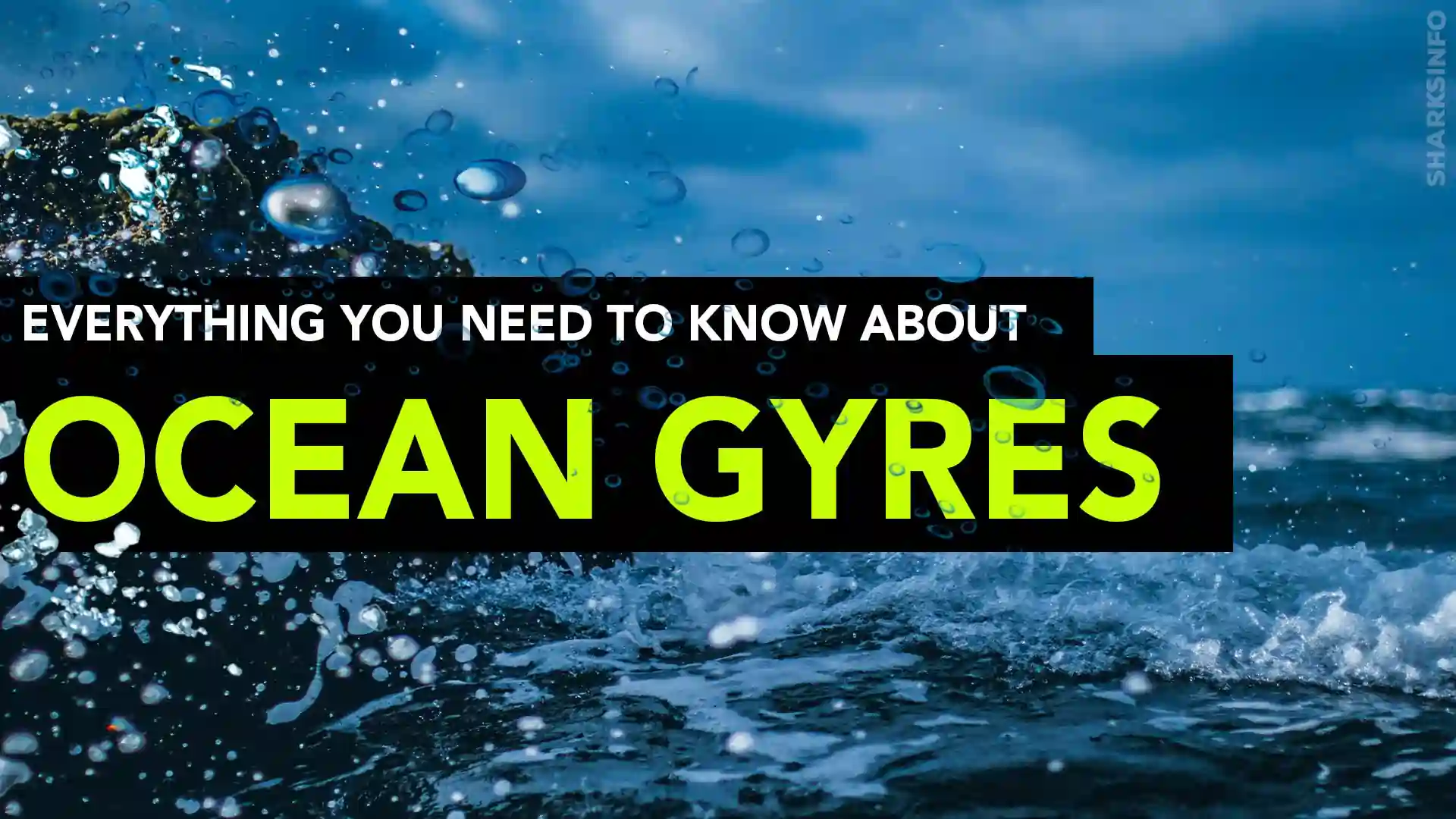 Everything You Need To Know About Ocean Gyres - sharksinfo.com