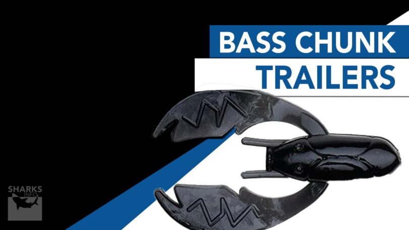 How to Pick the Right Swim Jig Trailers for Bass Fishing? – sharksinfo.com