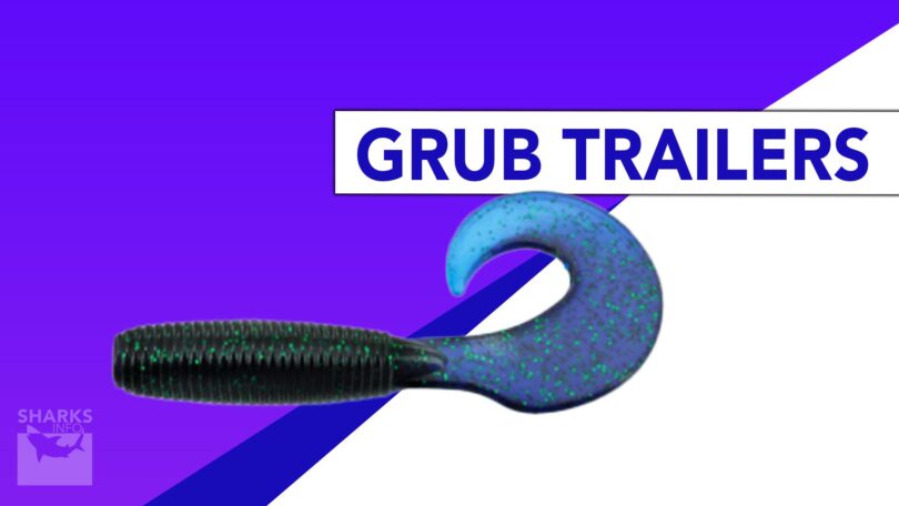 How to Pick the Right Swim Jig Trailers for Bass Fishing? - sharksinfo.com