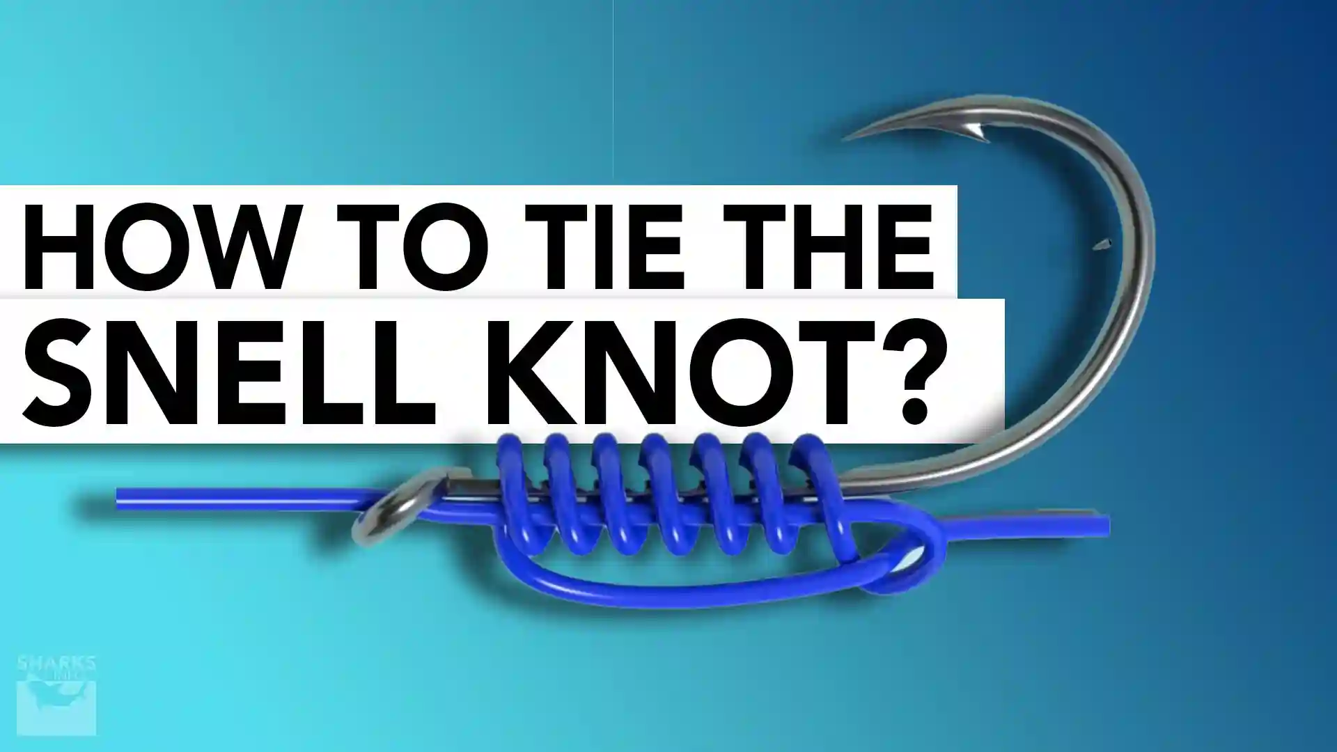 How To Tie The Snell Knot? - sharksinfo.com