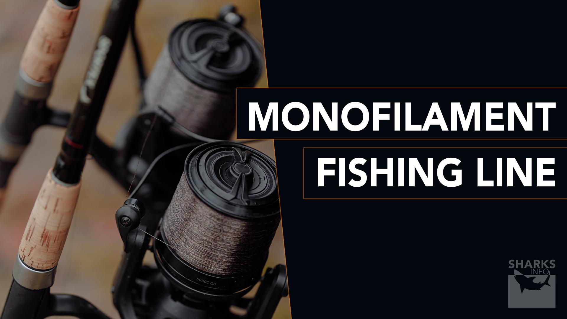 How to Choose the Best Fishing Line For Spinning Reels – sharksinfo.com