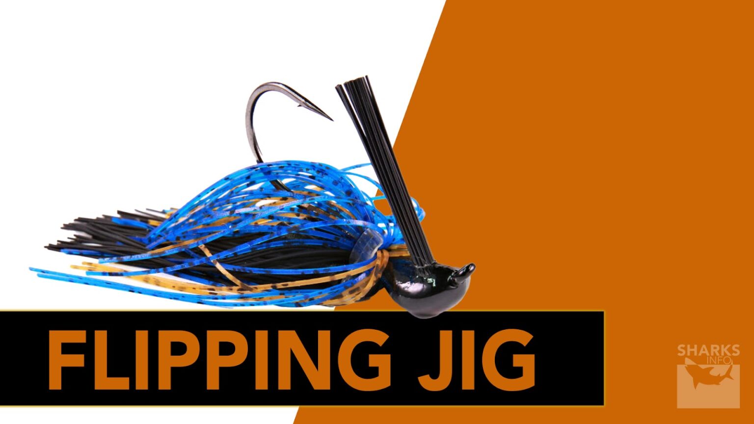 A Quick Guide to Skirted Jigs for Bass Fishing – sharksinfo.com