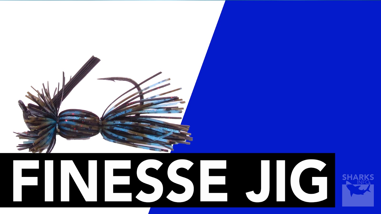 A Quick Guide to Skirted Jigs for Bass Fishing – sharksinfo.com