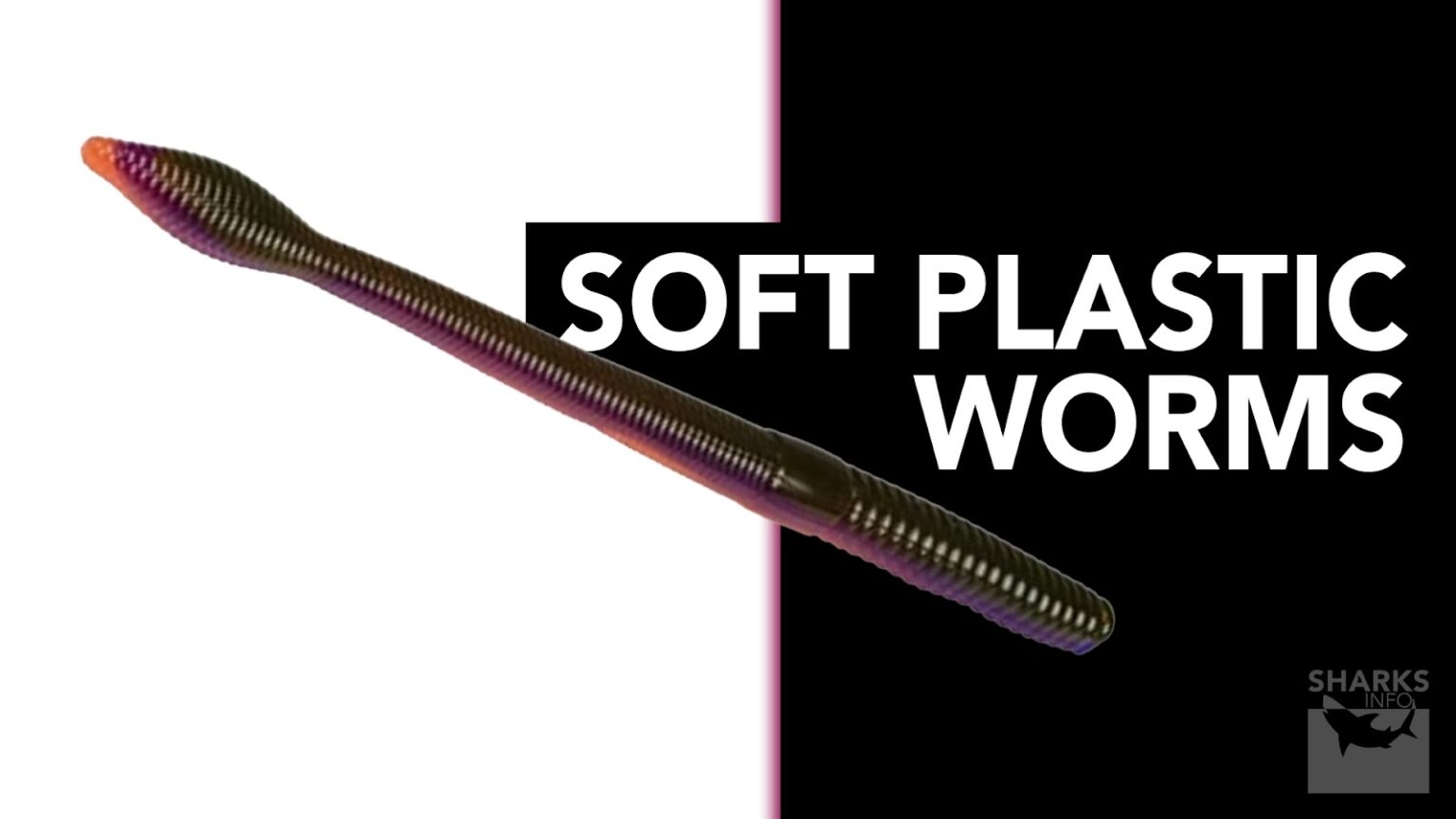 A Guide To Bass Fishing Soft Plastics – sharksinfo.com