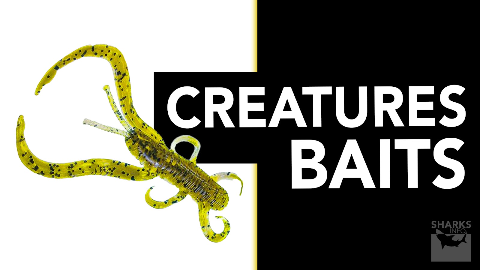 A Guide To Bass Fishing Soft Plastics – sharksinfo.com